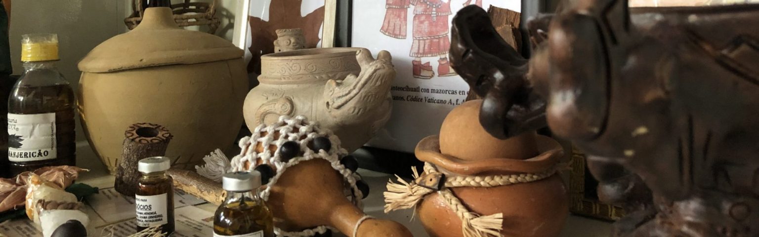 Sucuuba - Herbário MFS