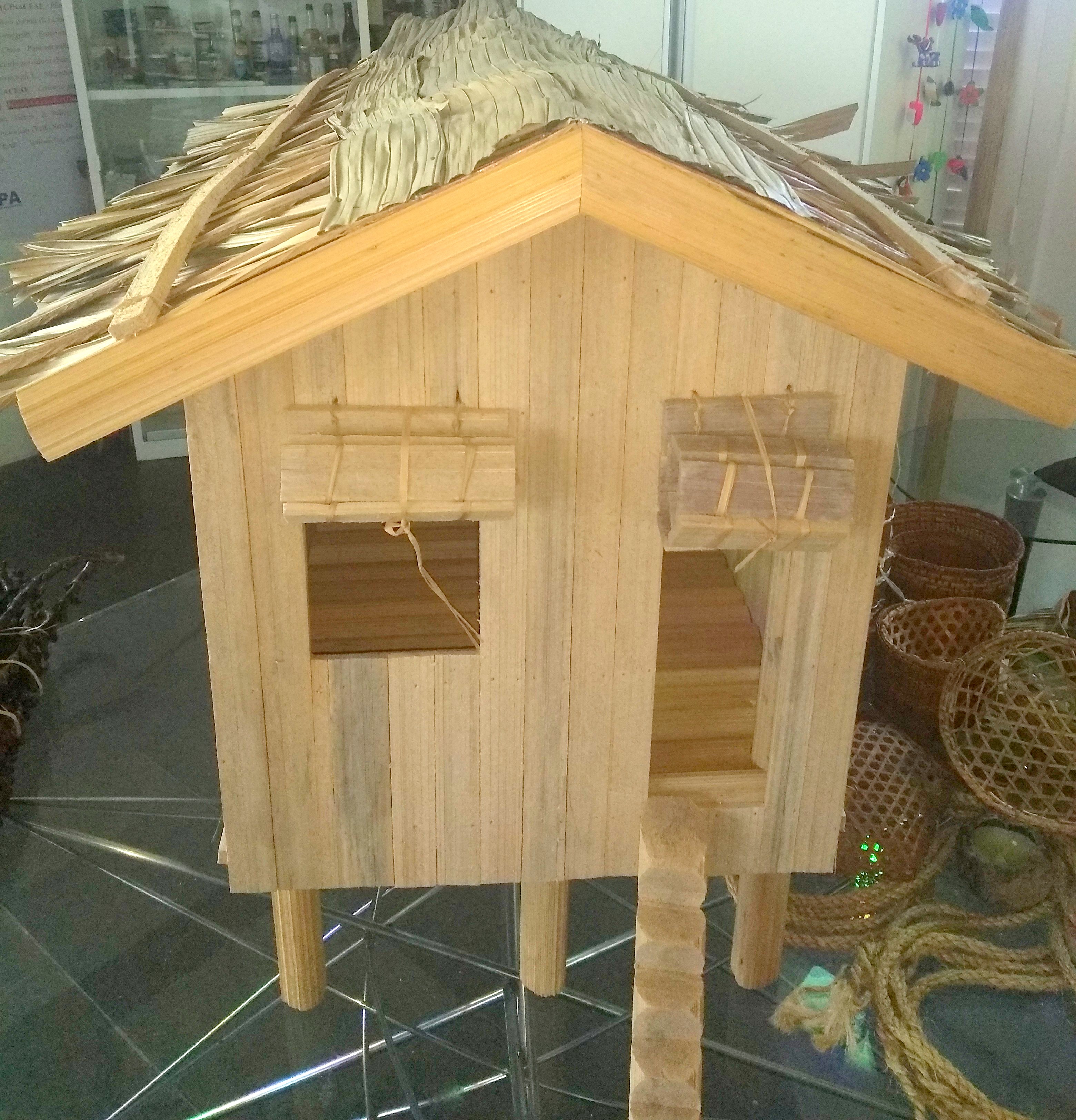 Casa de Miriti - Herbário MFS