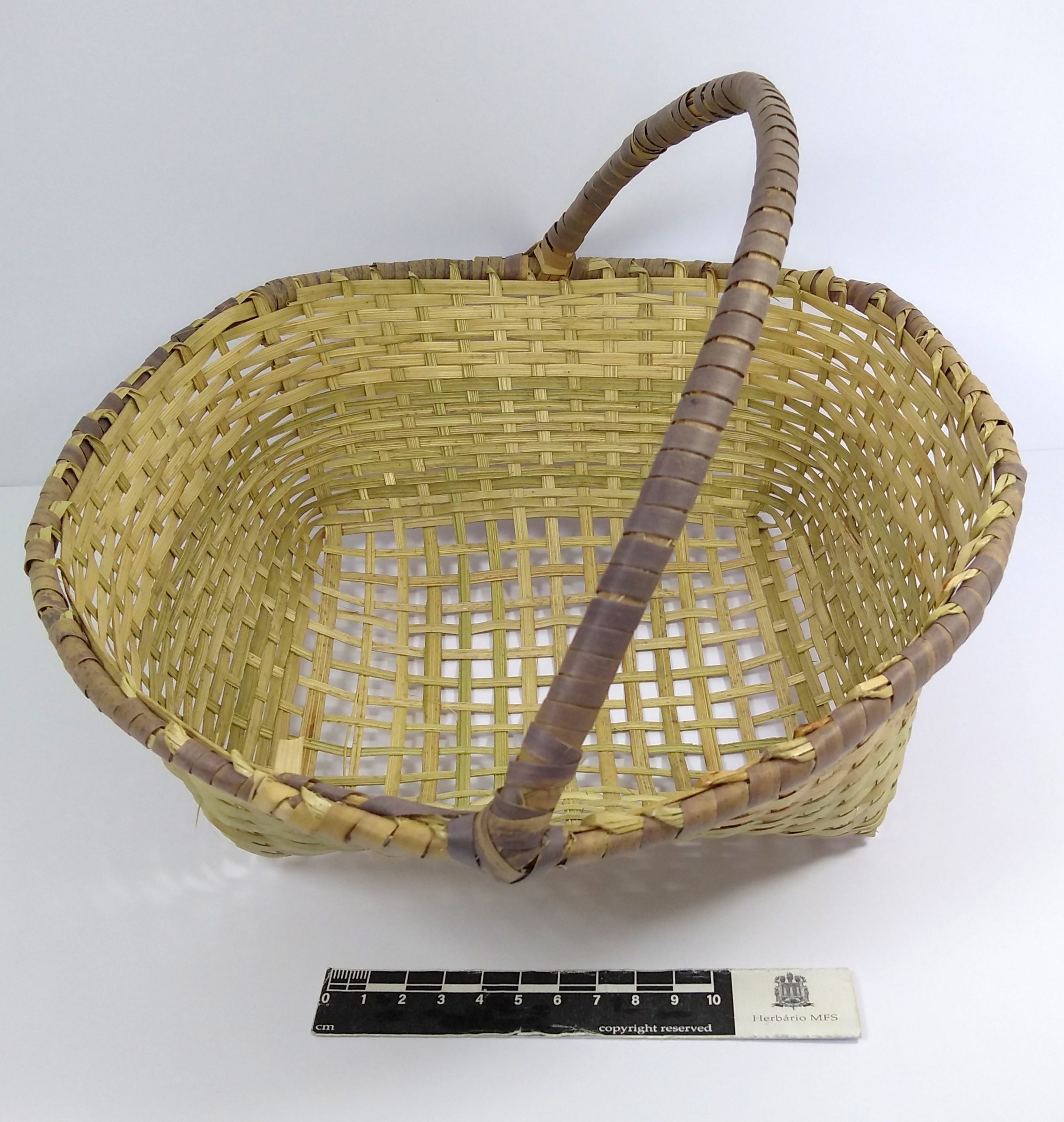 Cesta com alça de Miriti - Herbário MFS