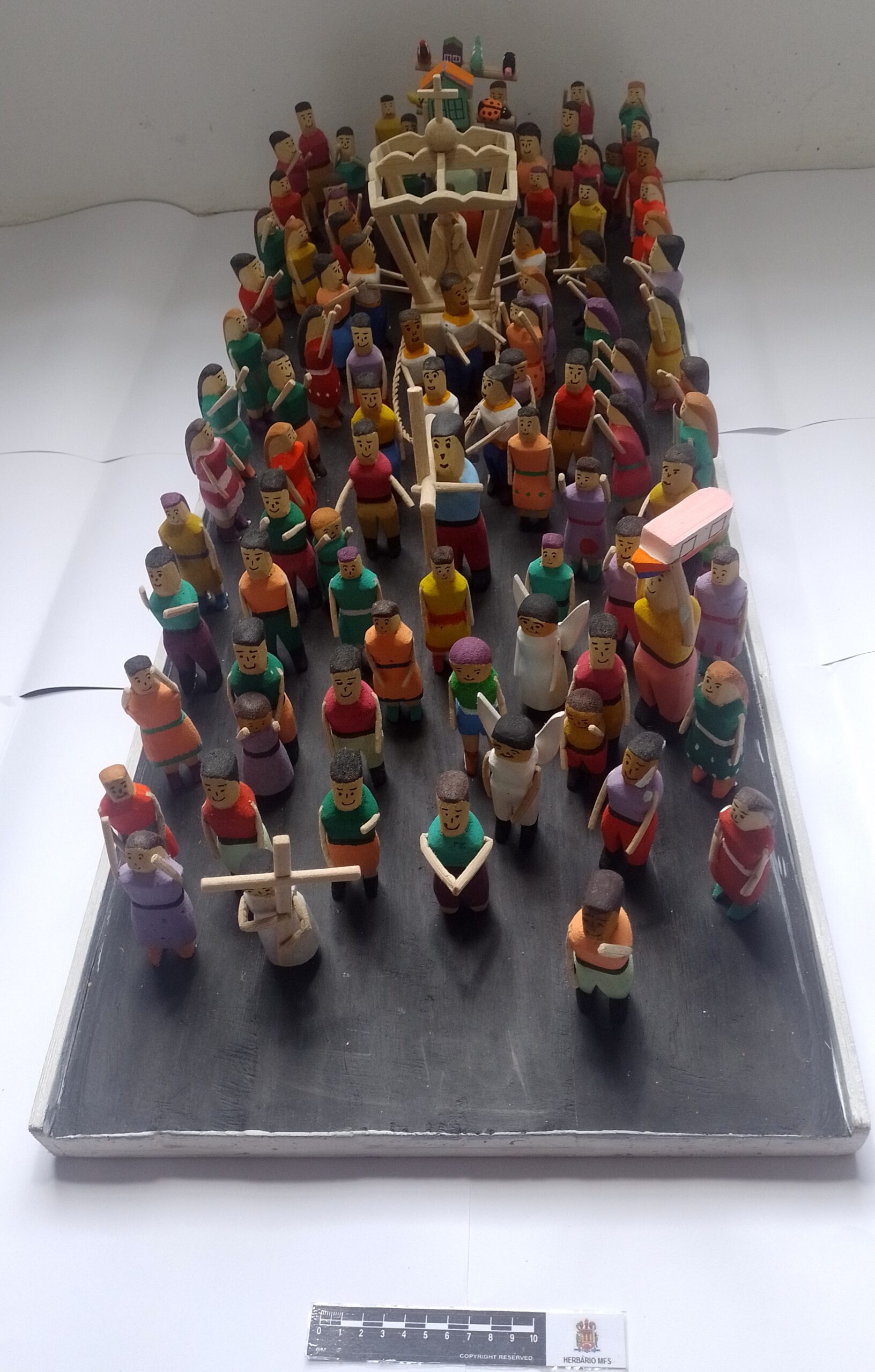 Romaria de Miriti - Herbário MFS