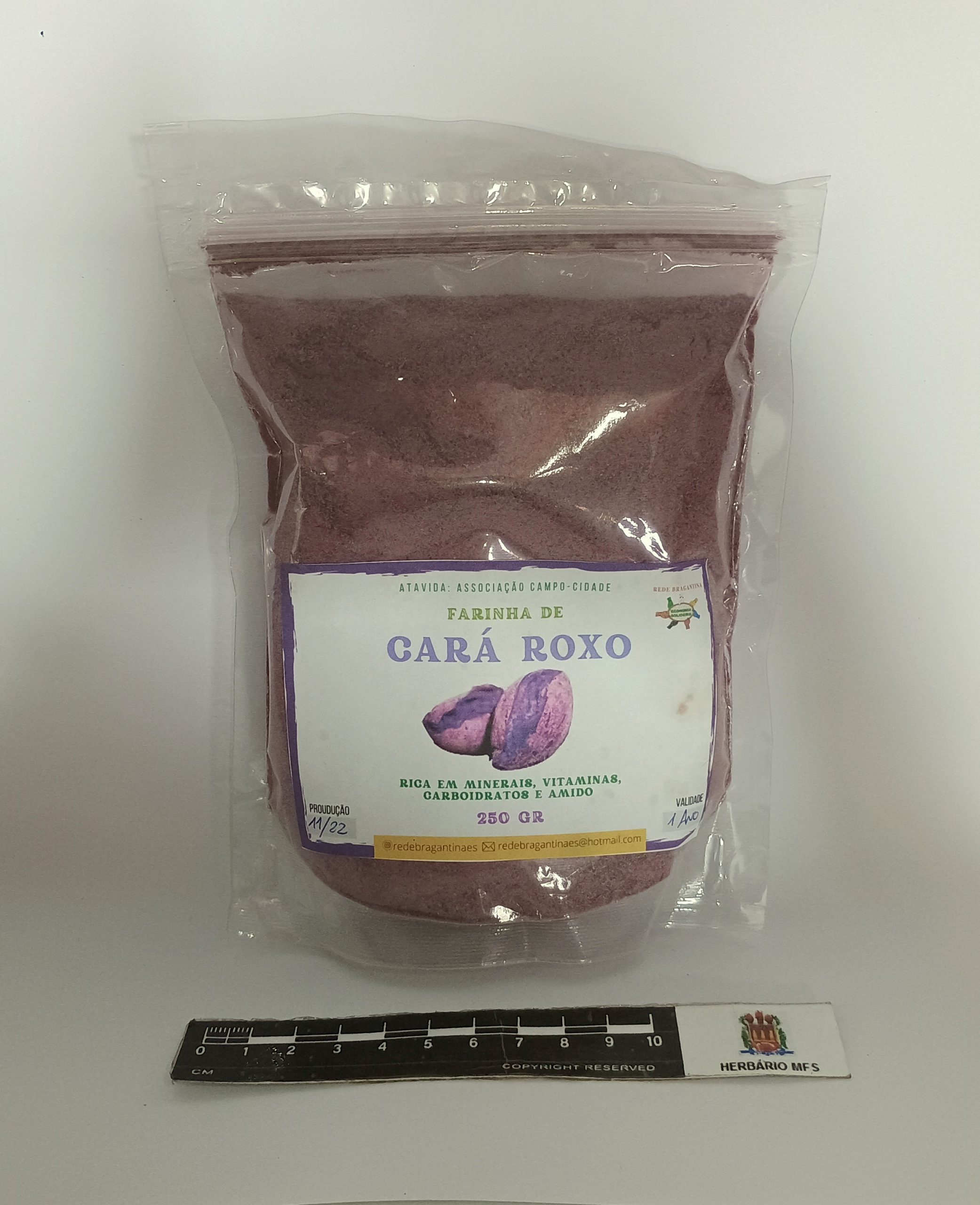 Cará Roxo - Herbário MFS