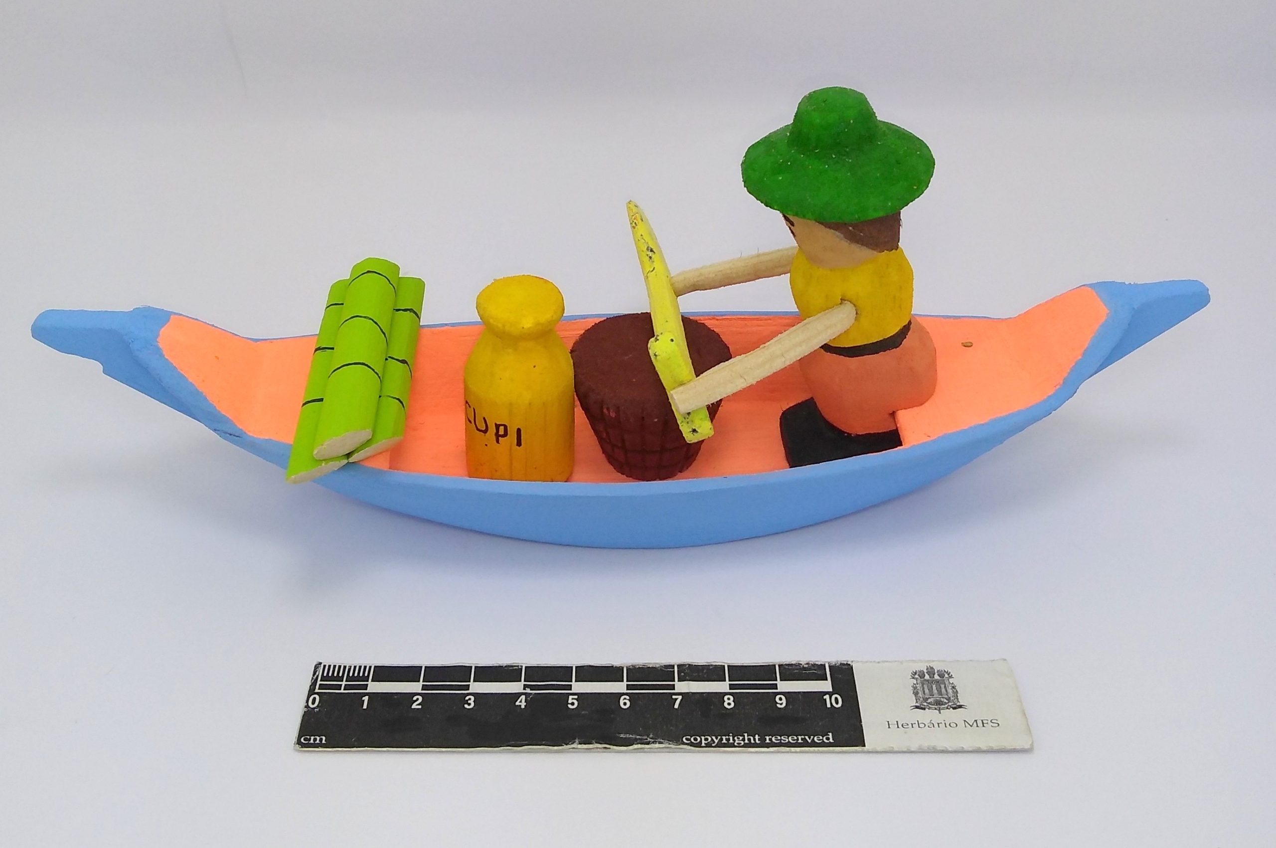 Barqueiro de Miriti 1 - Herbário MFS