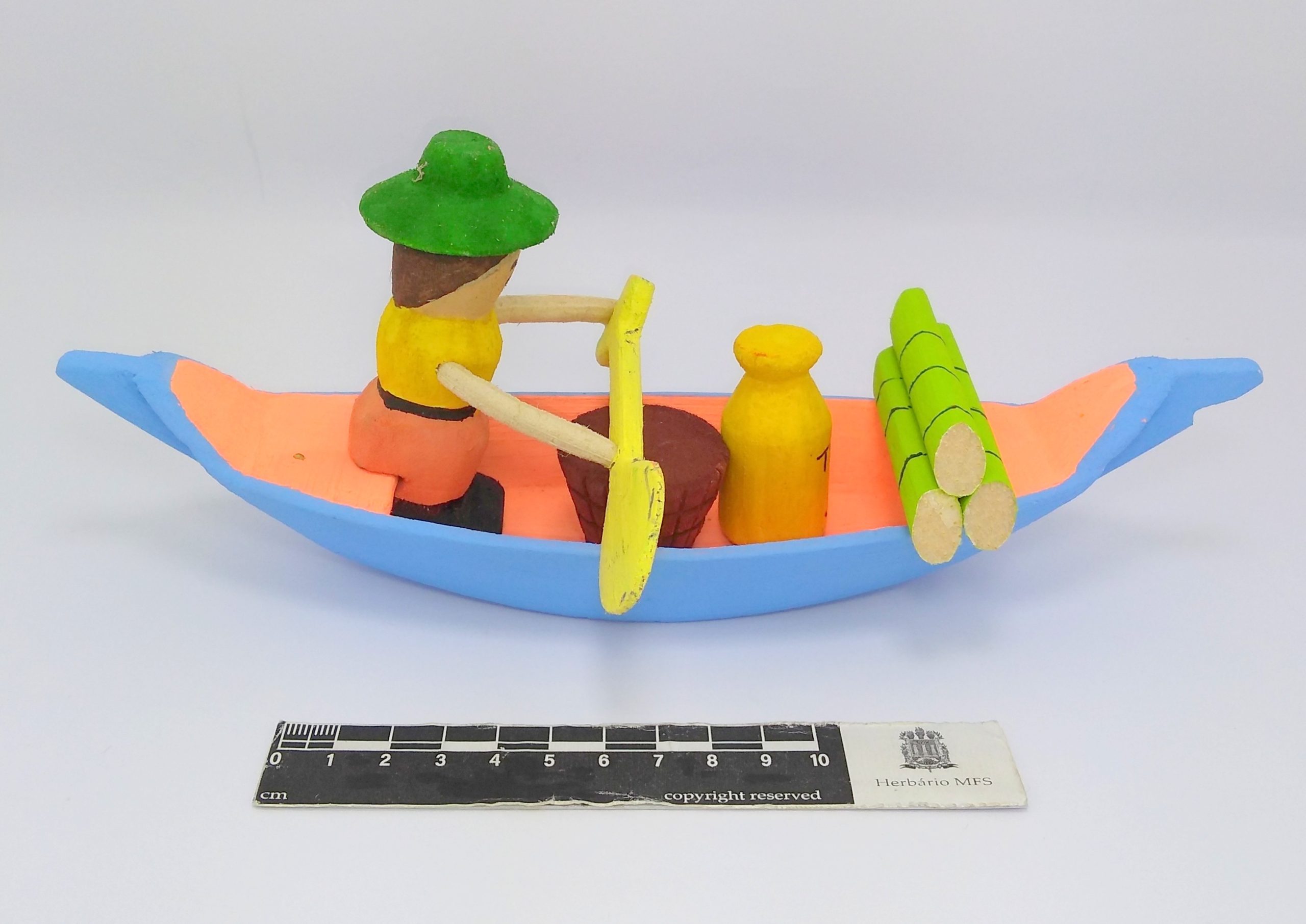 Barqueiro de Miriti 1 - Herbário MFS