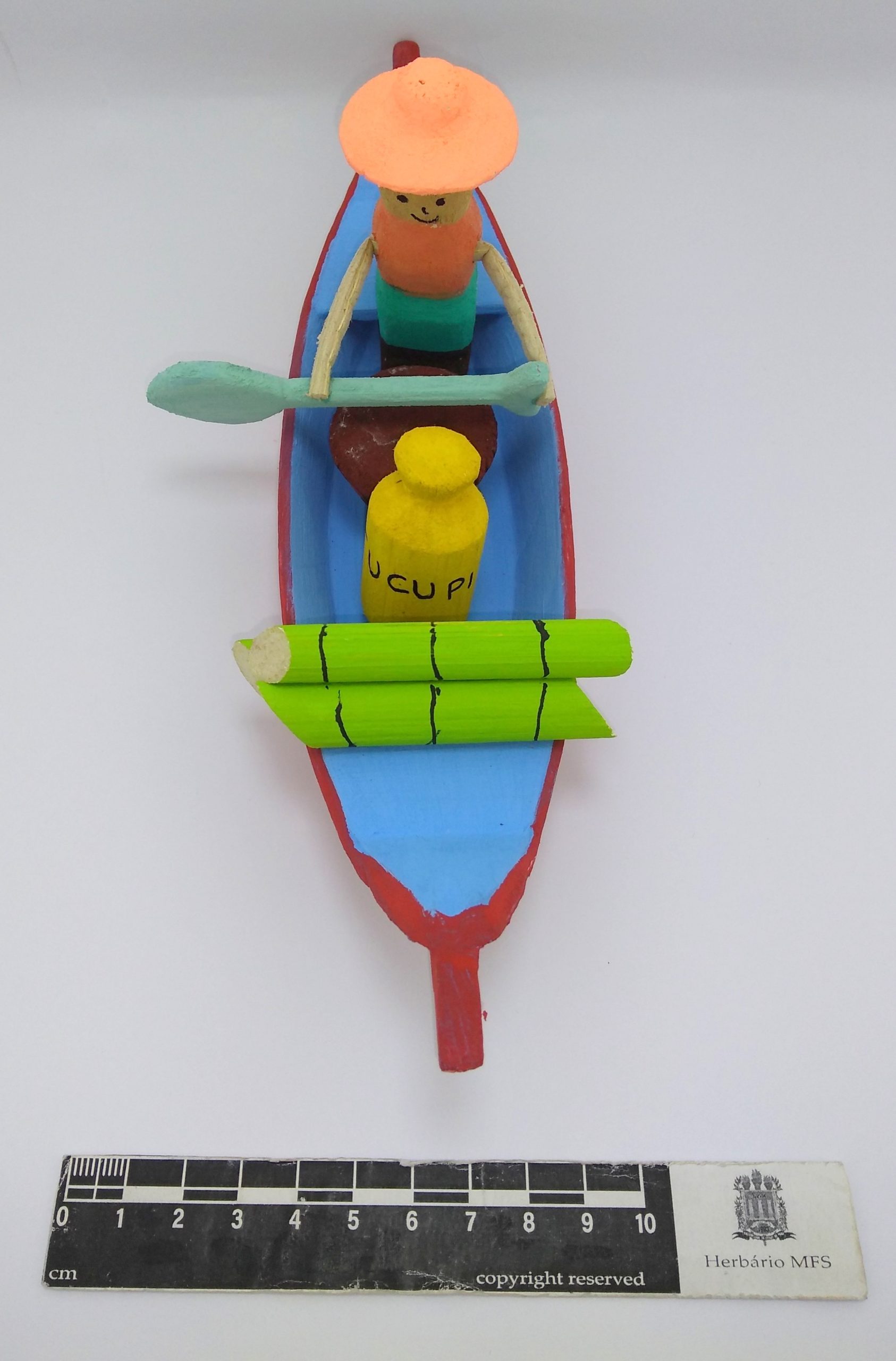 Barqueiro de Miriti 2 - Herbário MFS