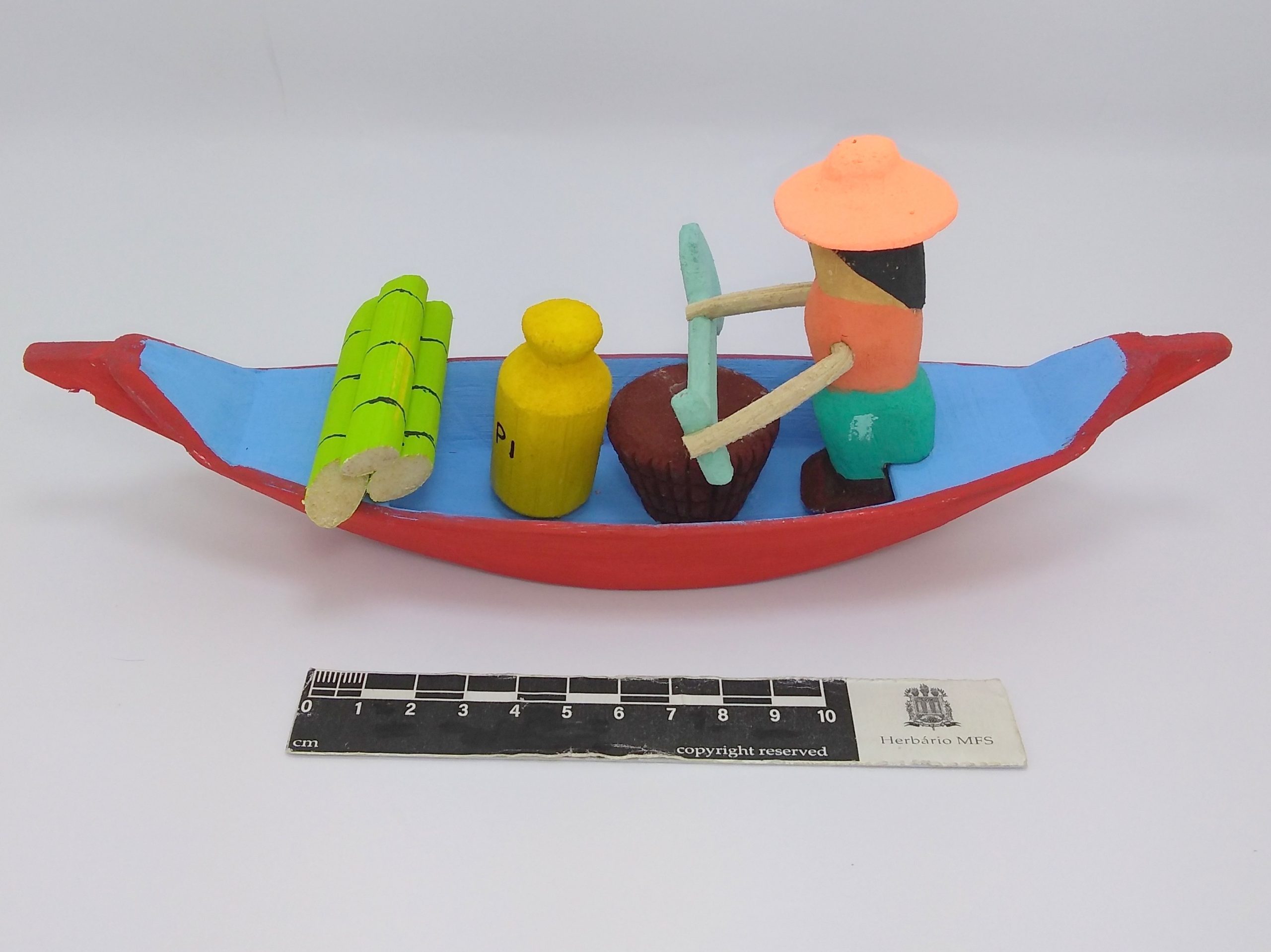 Barqueiro de Miriti 2 - Herbário MFS