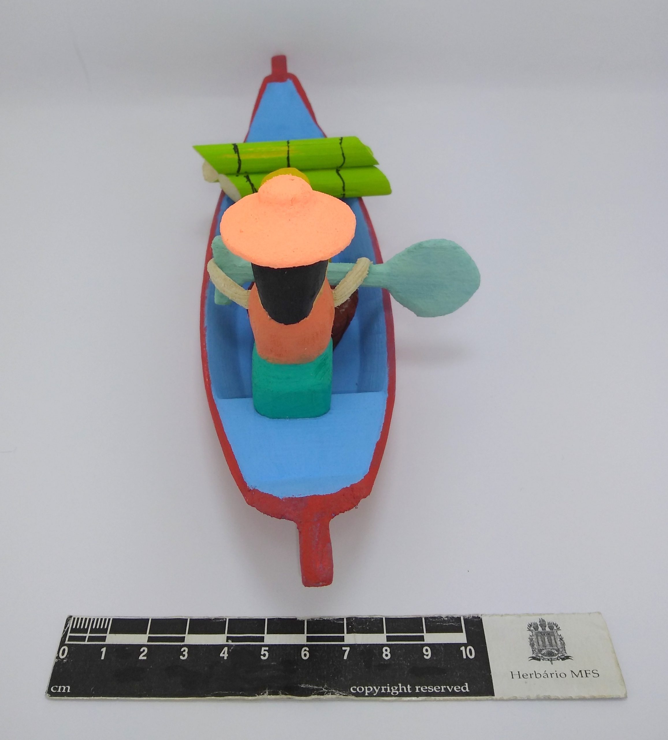 Barqueiro de Miriti 2 - Herbário MFS