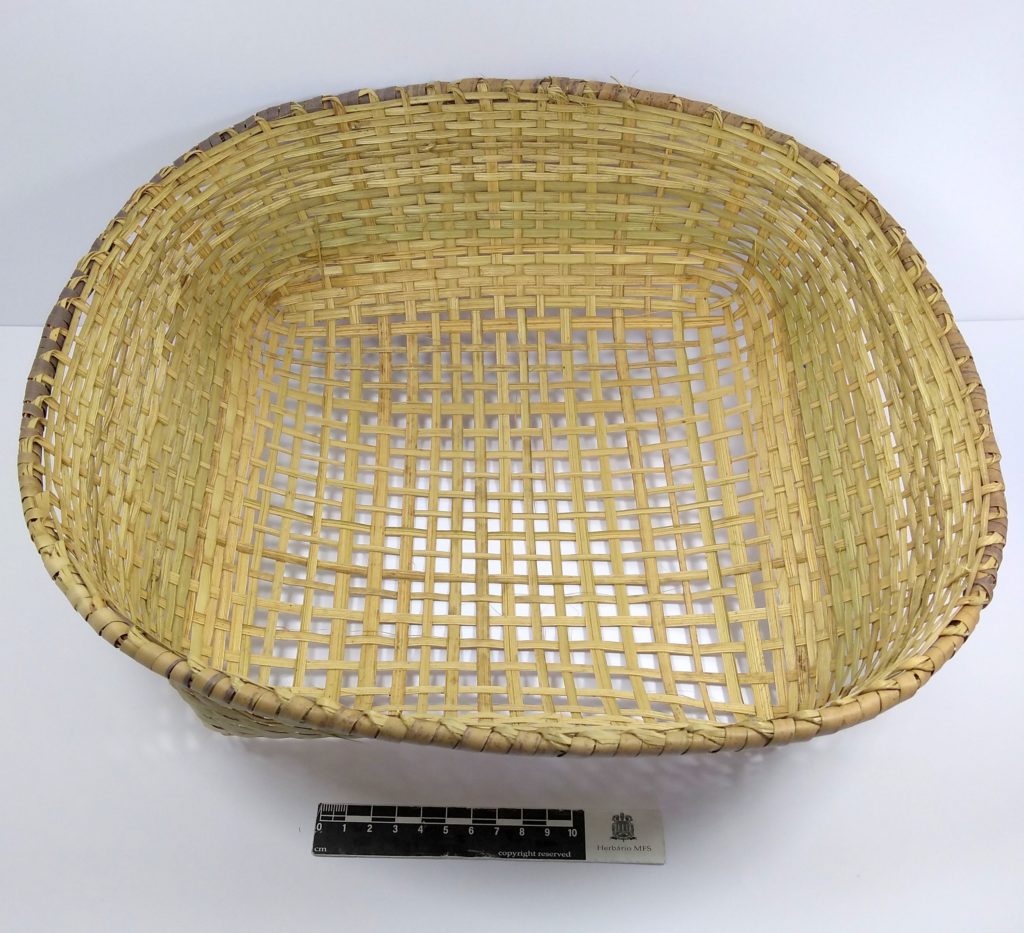 Cesta de Miriti - Herbário MFS