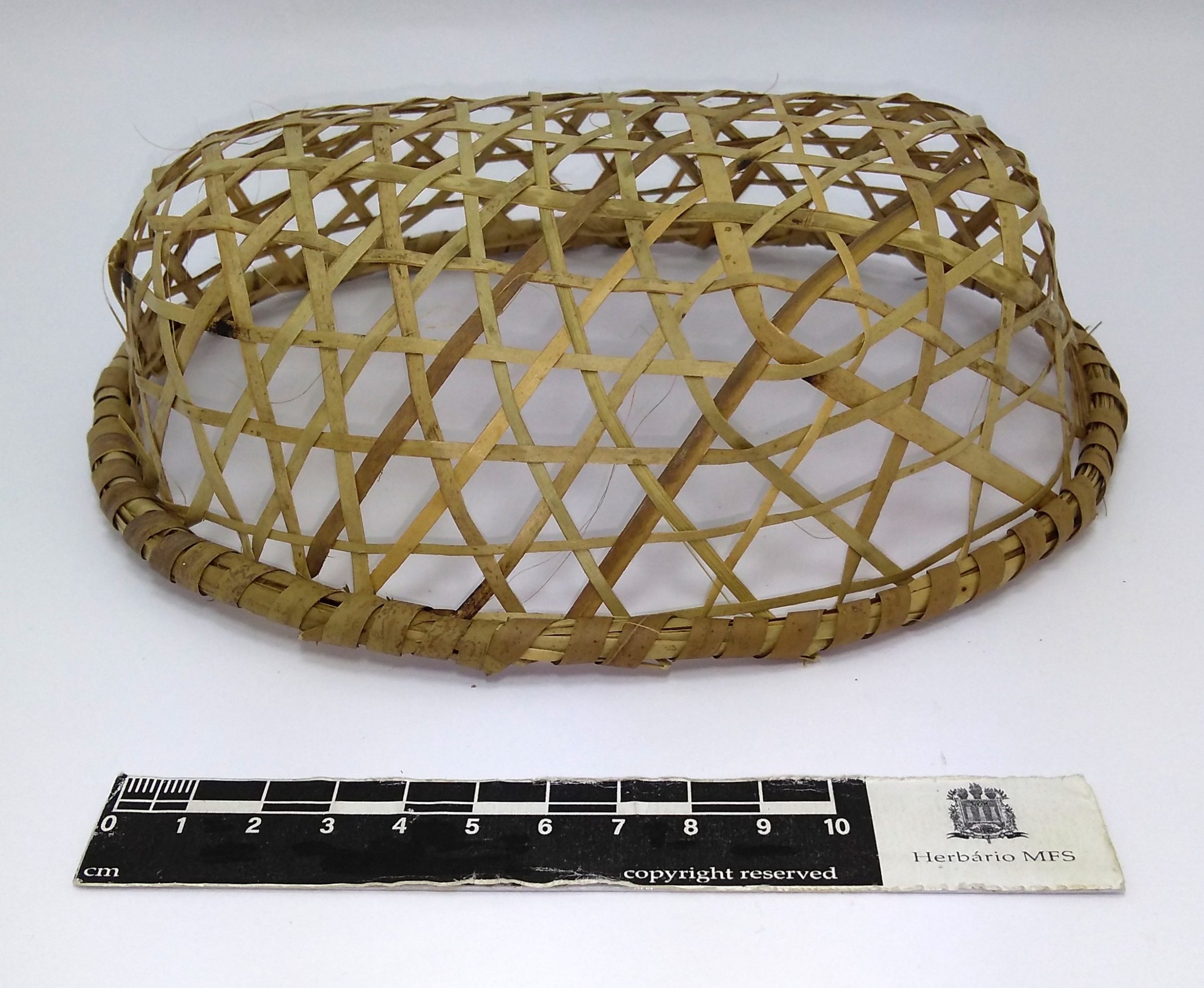 Paneiro de olhinho de Miriti - Herbário MFS