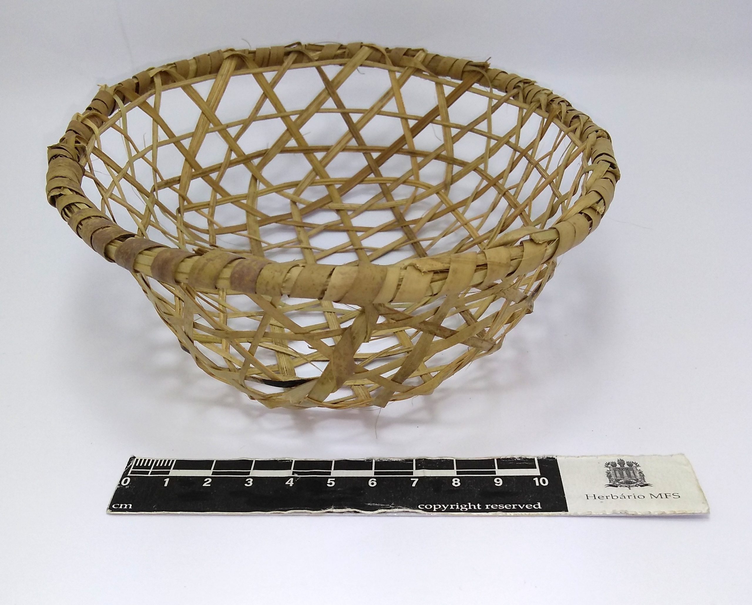 Paneiro de olhinho de Miriti - Herbário MFS