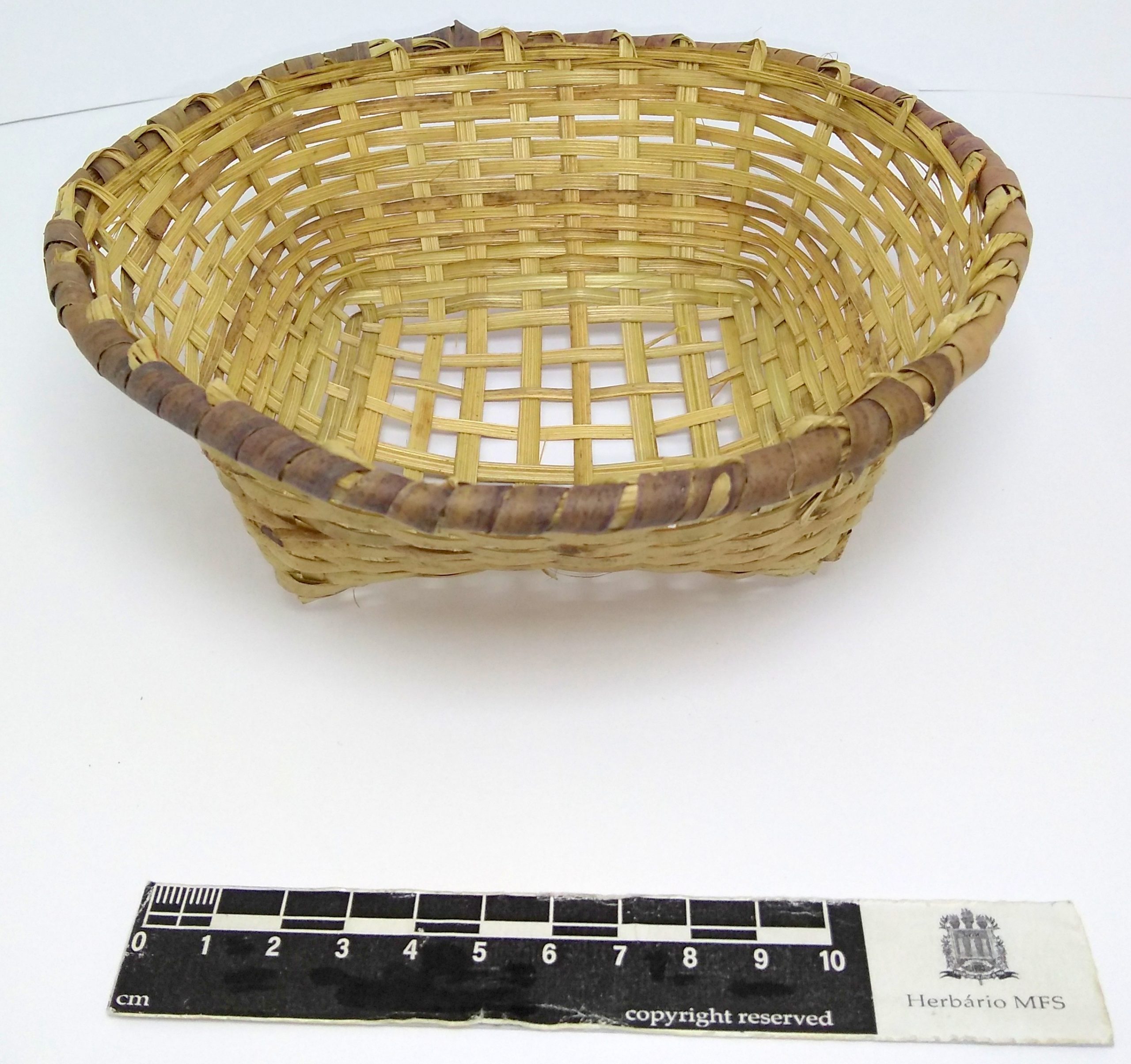 Cesta Pequena de Miriti - Herbário MFS