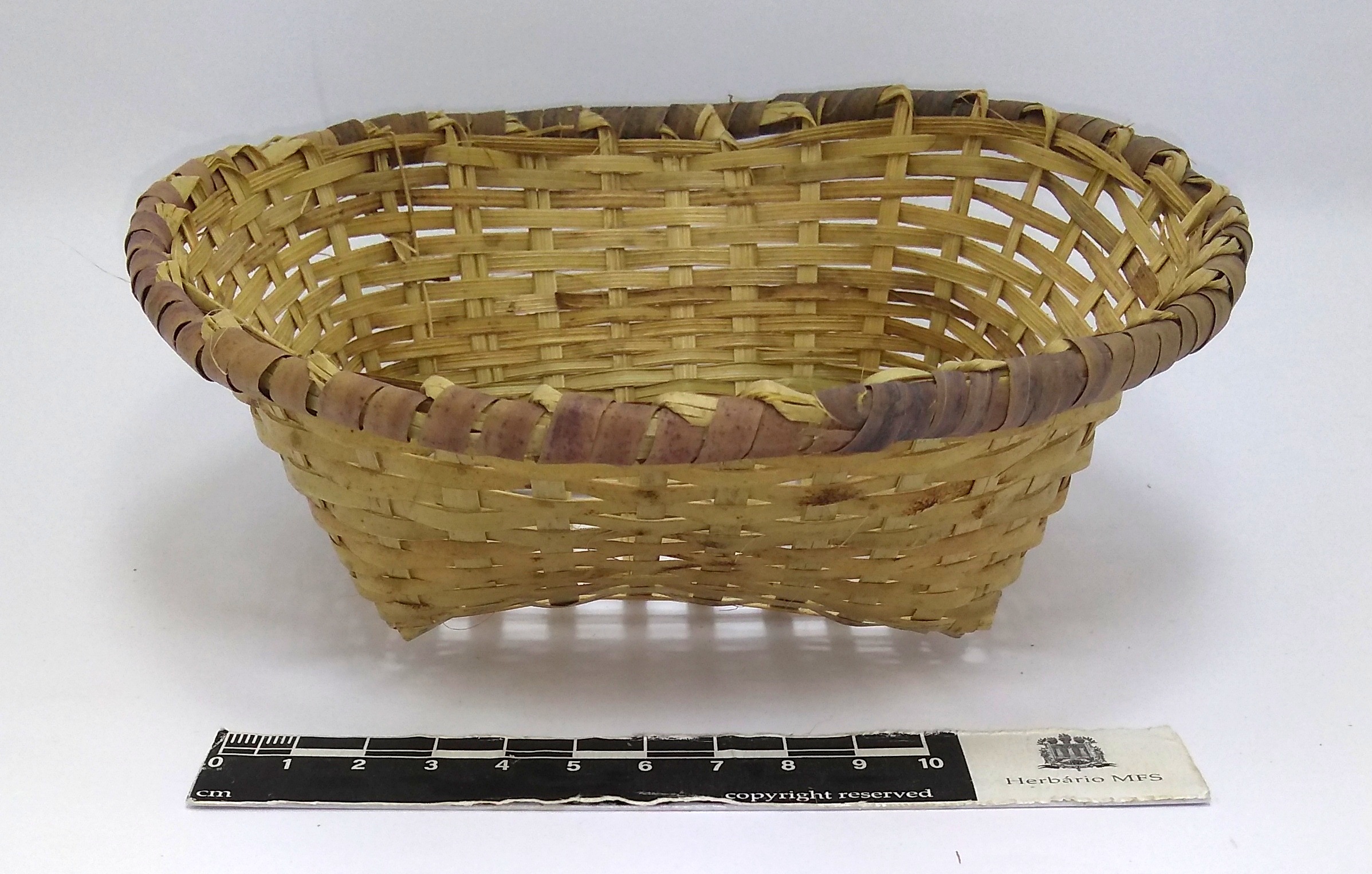 Cesta Pequena de Miriti - Herbário MFS