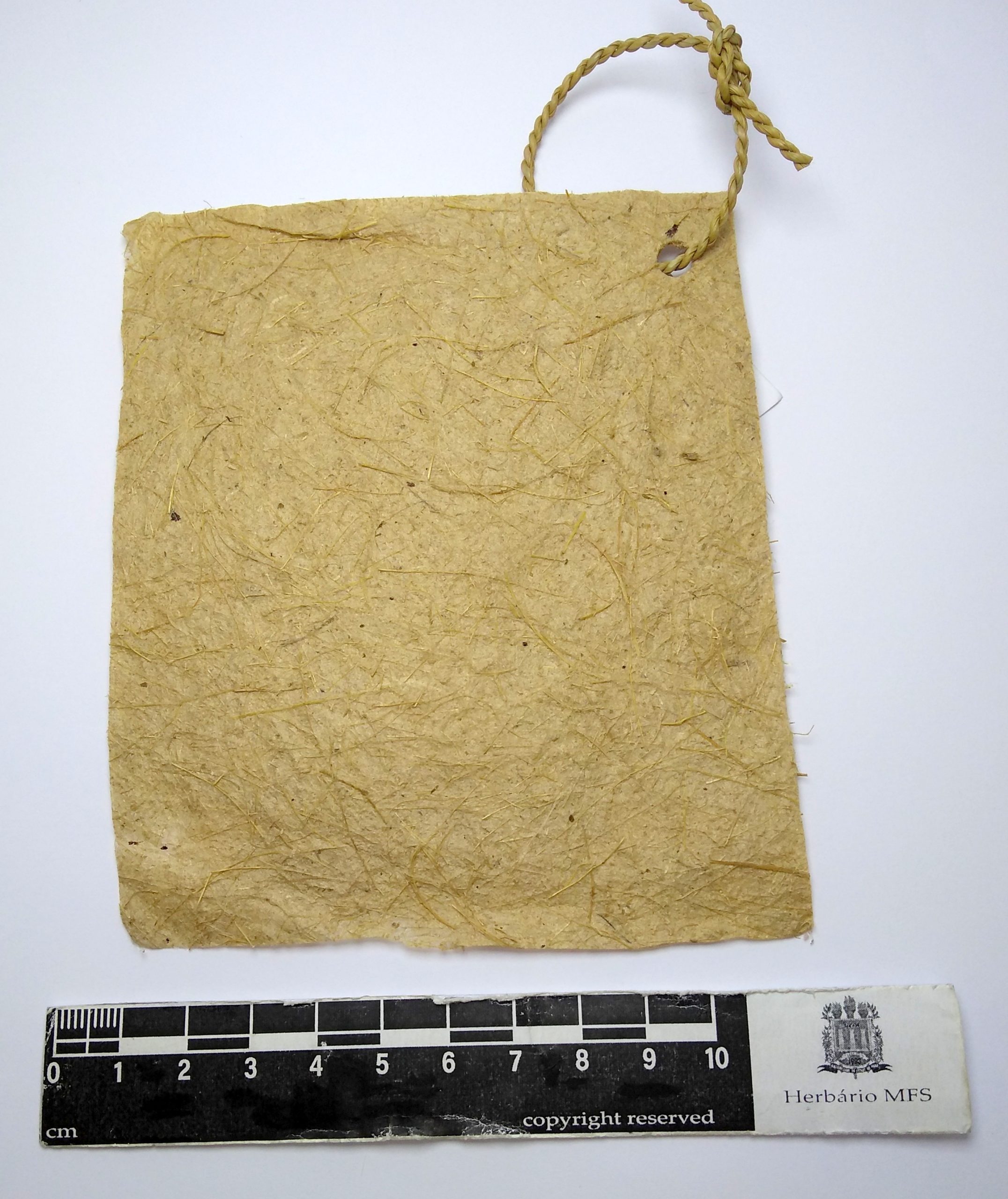 Papel de Fibra de Bananeira - Herbário MFS Papel de Fibra de Bananeira - Herbário MFS