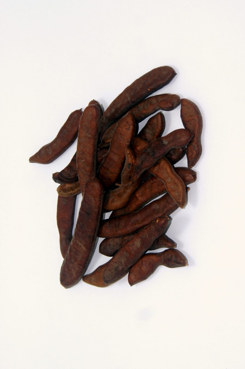 Jucá - Herbário MFS